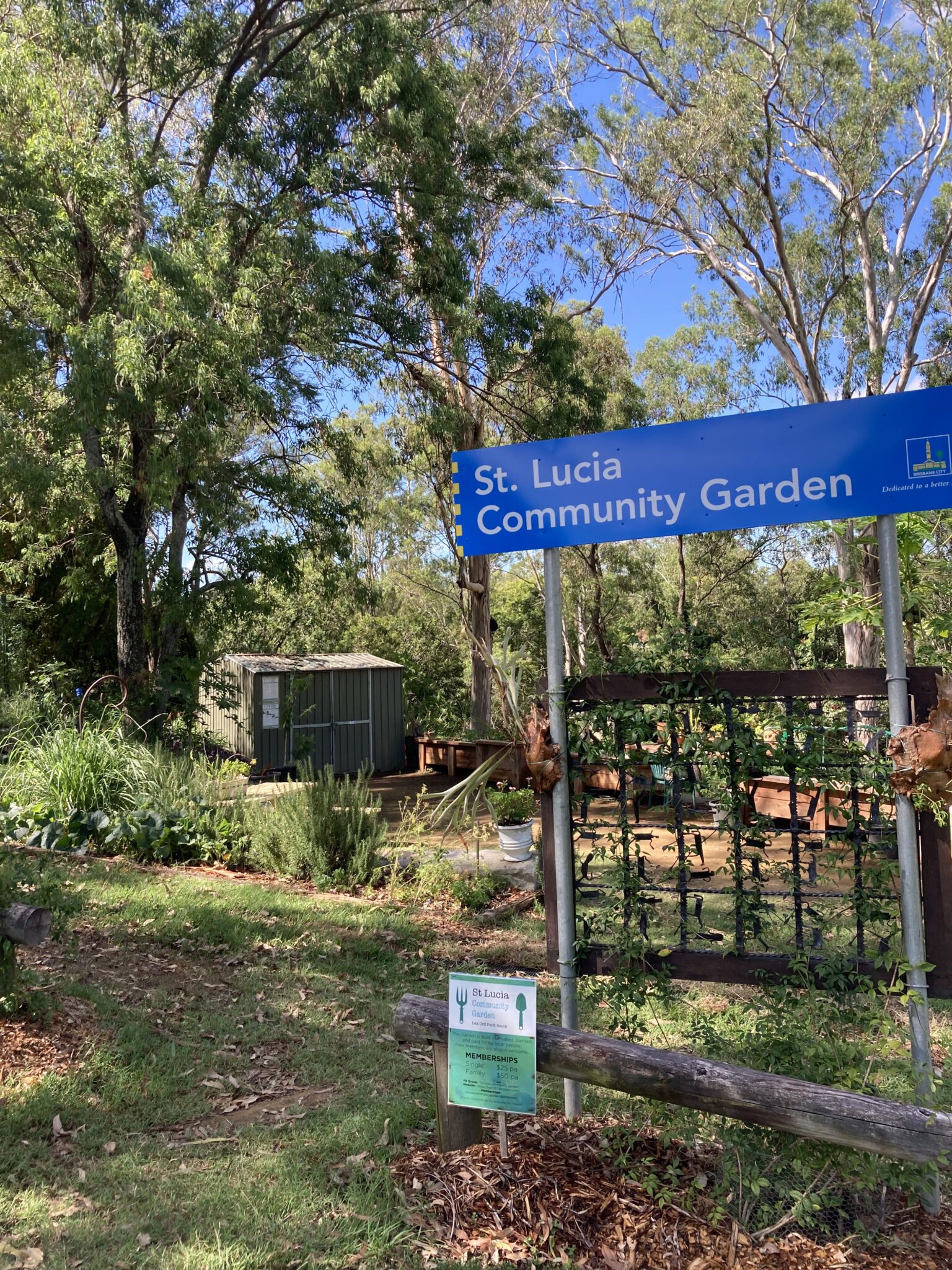 Community Gardens – St Lucia Community Association Inc.